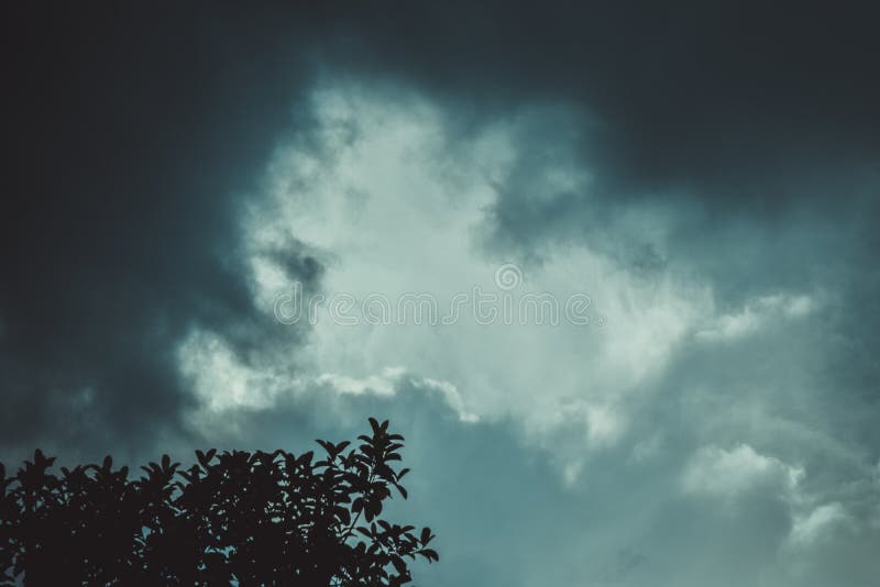 The cloud look like a dog stock photo. Image of season - 259910978