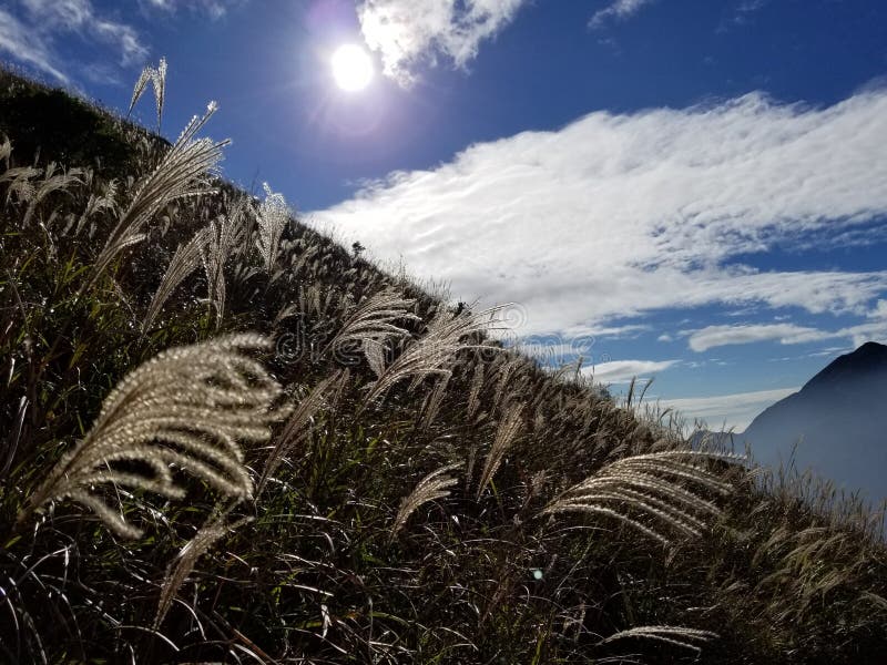 Cloud mountain grass stock image. Image of mountain - 188955373