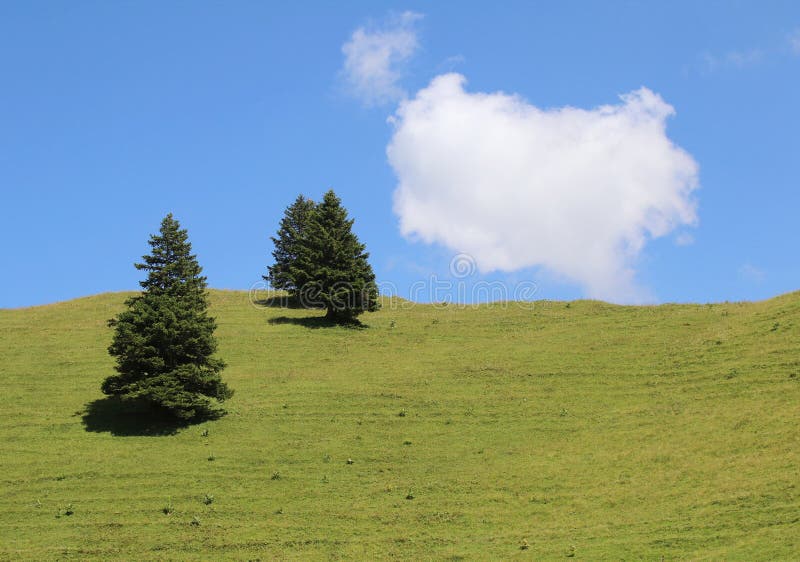 Cloud Over a Hill Slope with Random Trees Stock Image - Image of alpine ...