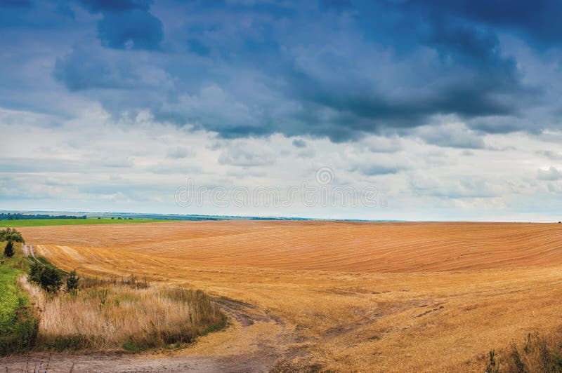 Cloud Over Field after Harvest Under a Dramatic Cloudy Sky, the End of ...