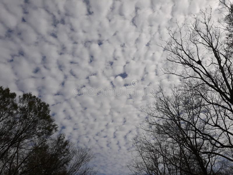 Cloud Pattern Trees Sky Blue Evening Stock Image - Image of cloud ...