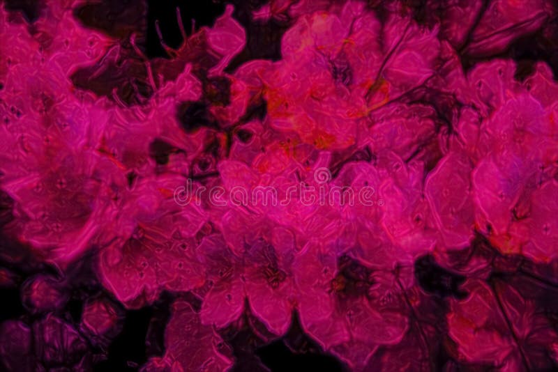 Cloud of Pink Red Dreamy Hazy Azaleas - Dark Pink and Black Abstract ...