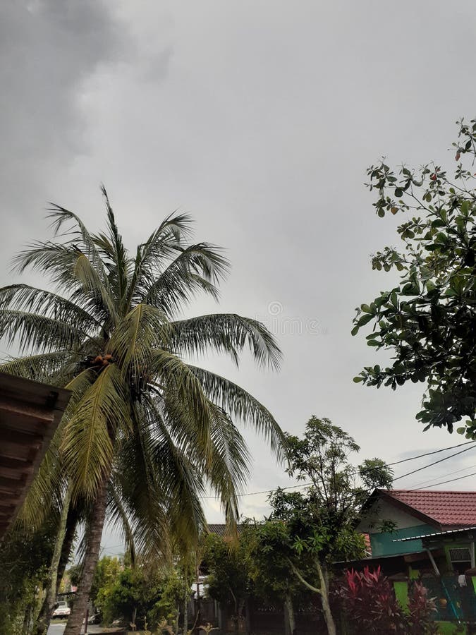 A cloud in raining day stock photo. Image of tree, cloud - 207337560