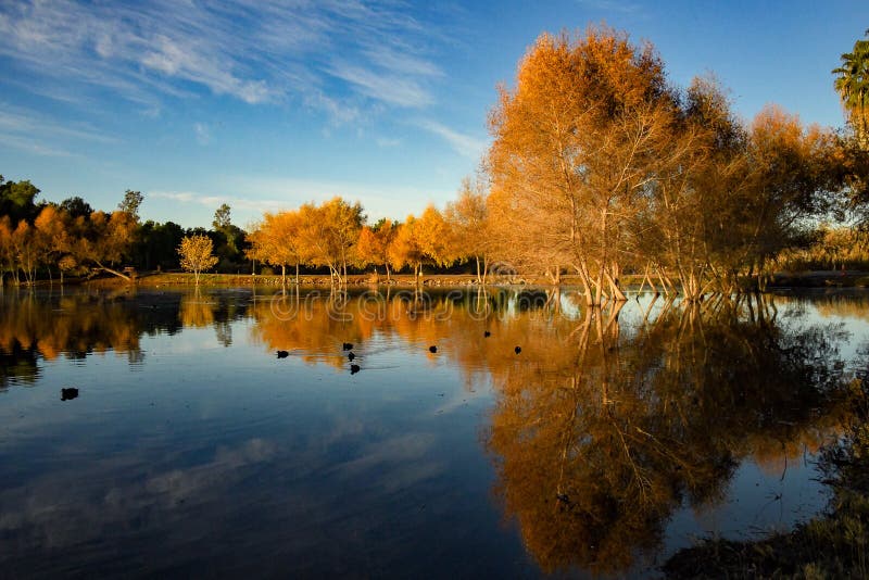 Cloud Reflection Scene at Lindo Lake Stock Image - Image of reflection ...