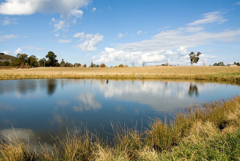 Cloud Reflections stock image. Image of clouds, trees - 5319449