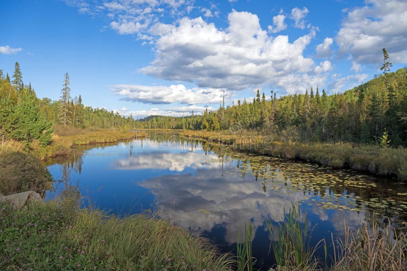 Cloud Reflections on a Calm Inlet Stock Photo - Image of pines ...