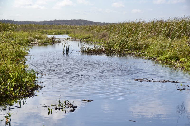 Cloud Reflections on Water Surface in Narrow Channel Along the Shore ...