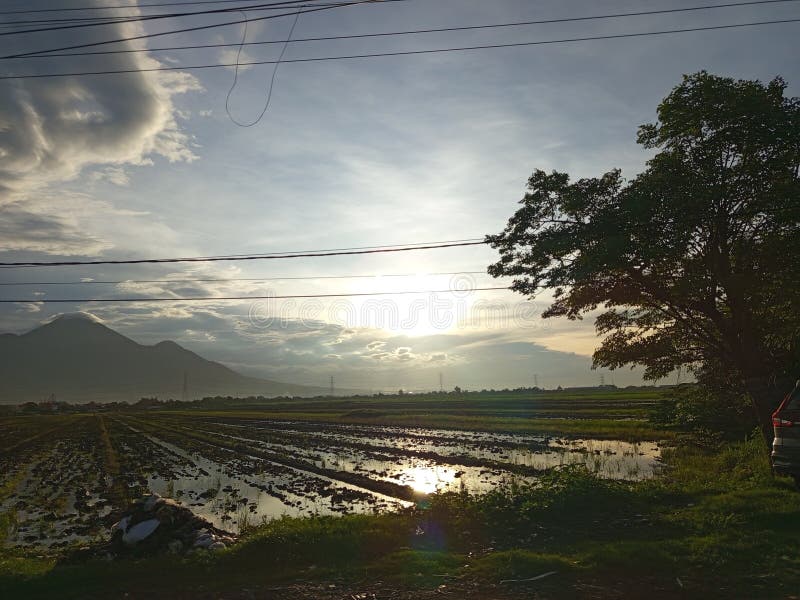 Cloud Rice Field and Afternoon that Day Stock Photo - Image of cloud ...
