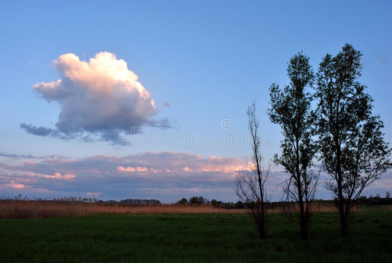 Cloud in the Shape of a Fish at Sunset Over the Meadow with Poplars ...