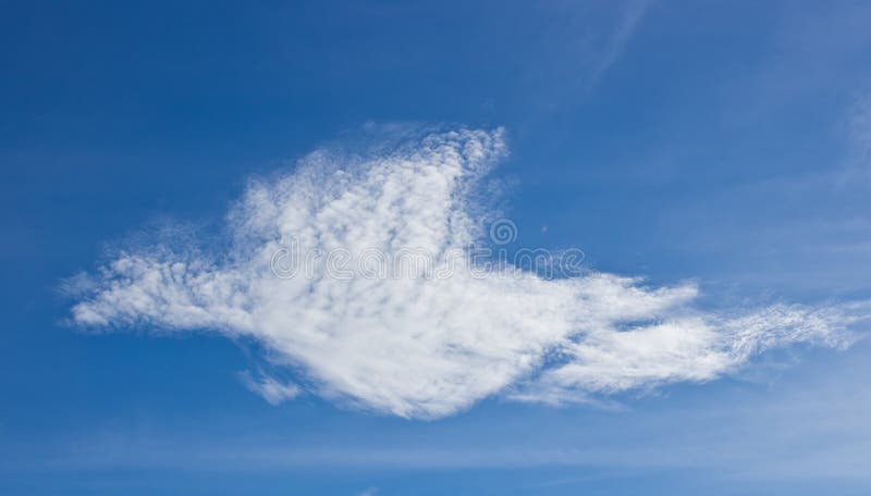 Cloud shaped like a bird stock photo. Image of pretty - 31518996