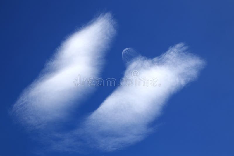 A Cloud Shaped Like a Large Bird S Wing on the Bright Blue Sky. Stock ...