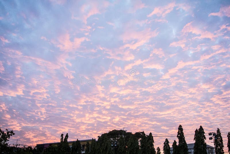 Cloud on the sky. stock photo. Image of high, cloud, evening - 84265518