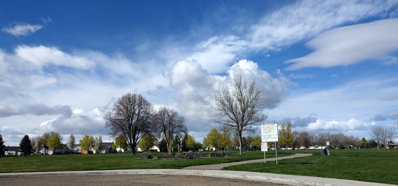 Tree Tunnel At Daytime Picture. Image: 119467388