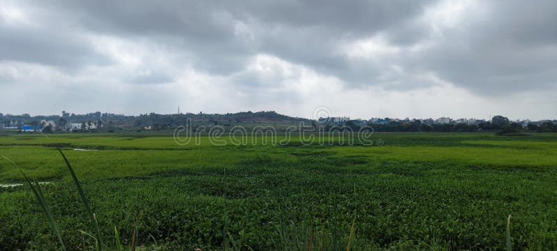 Cloud Sky with Greenery Lake View Stock Photo - Image of meadow, lake ...