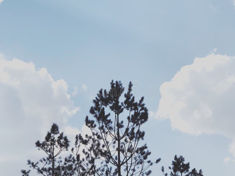 Cloud stock image. Image of tree, cloud, blue, spring - 179632019