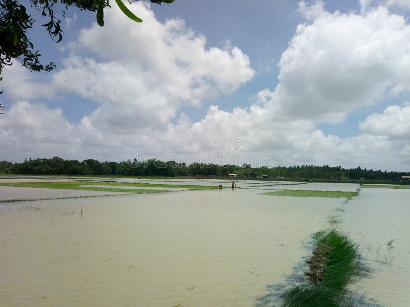 The cloud stock photo. Image of weather, indicate, cloud - 124030508