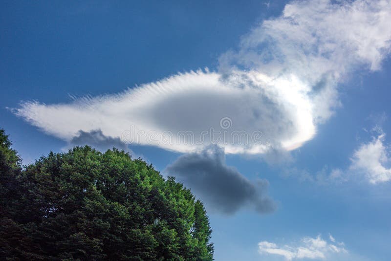 Cloud in the Sunny Sky Taking Fish Shape Stock Image - Image of green ...