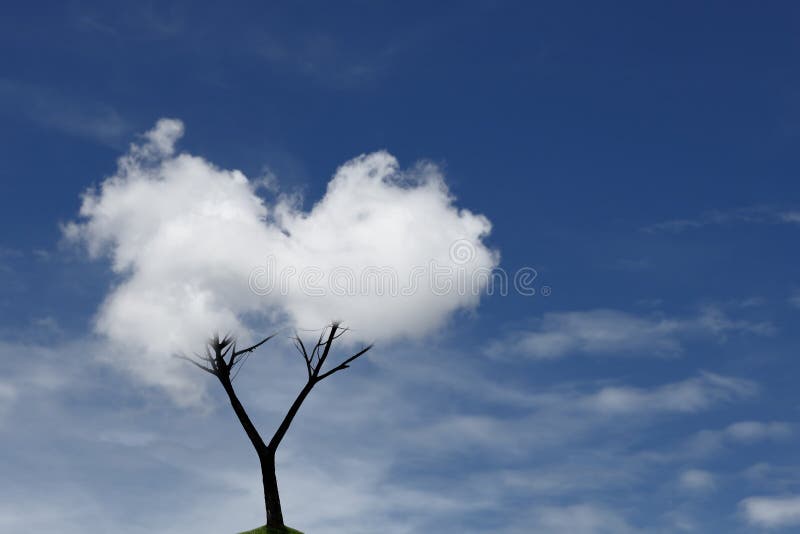 Cloud Tree stock photo. Image of harmony, ecology, hallucination - 38337752