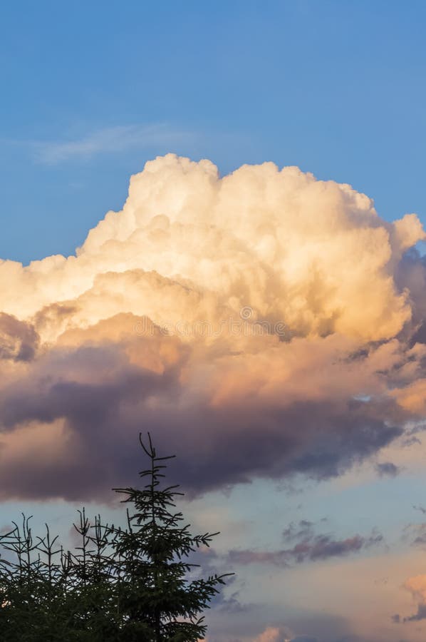Cloud and tree stock photo. Image of cloudy, blue, grass - 114630548