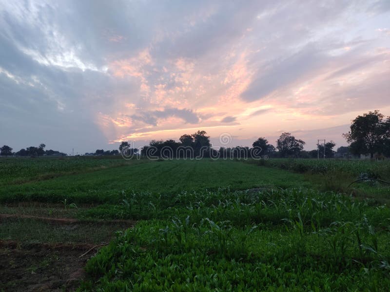 Cloud view, green grass stock image. Image of cloud - 206747921