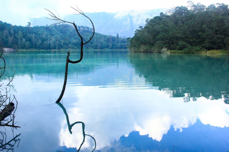 Cloud View Reflection of Color Lake with Tree Branches. Lake in the ...