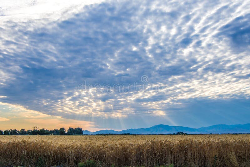 Clouded Sky Over Farm Field Stock Photo - Image of dark, clouds: 98503826