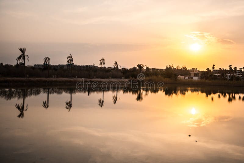 Cloudless Sunset Over the Calm Sea with Reflection of Palm Trees Stock ...