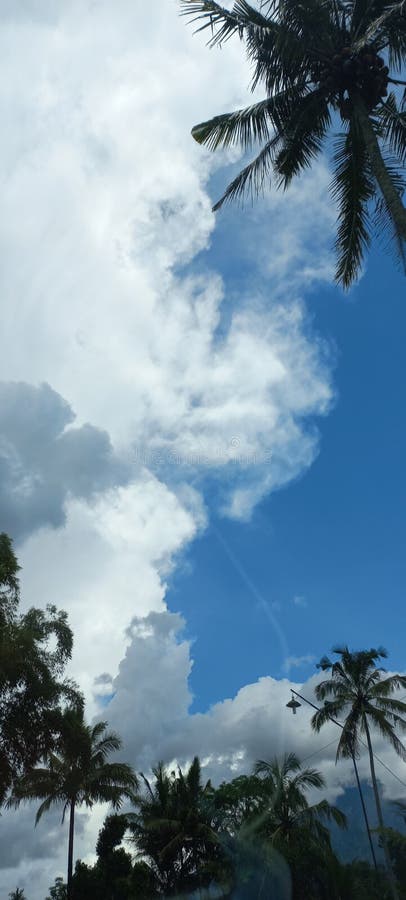 Cloudly Blue Sky and Trees in the Morning Stock Image - Image of blue ...