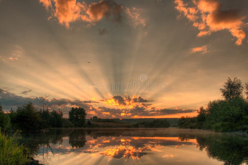 281 How To Know If Stock Photos - Free & Royalty-Free Stock Photos from ...