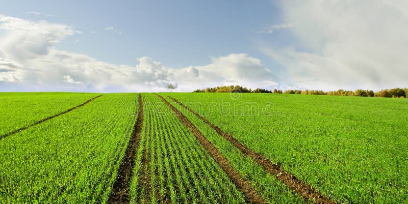 17,363 Cloud Above Land Stock Photos - Free & Royalty-Free Stock Photos ...