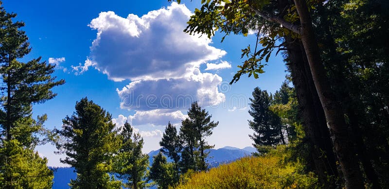 Clouds Around Hiking with Trees Stock Photo - Image of landscape, leaf ...