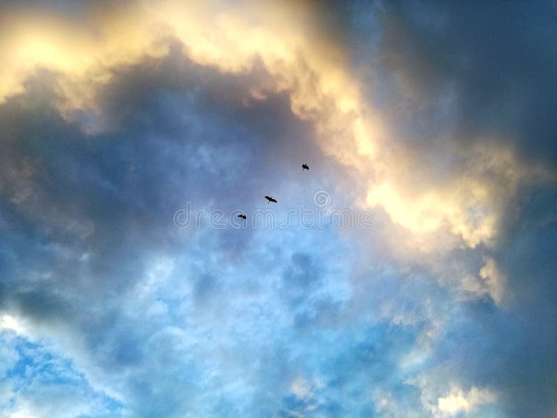 Clouds birds and sky stock image. Image of candy, fluffy - 120204441