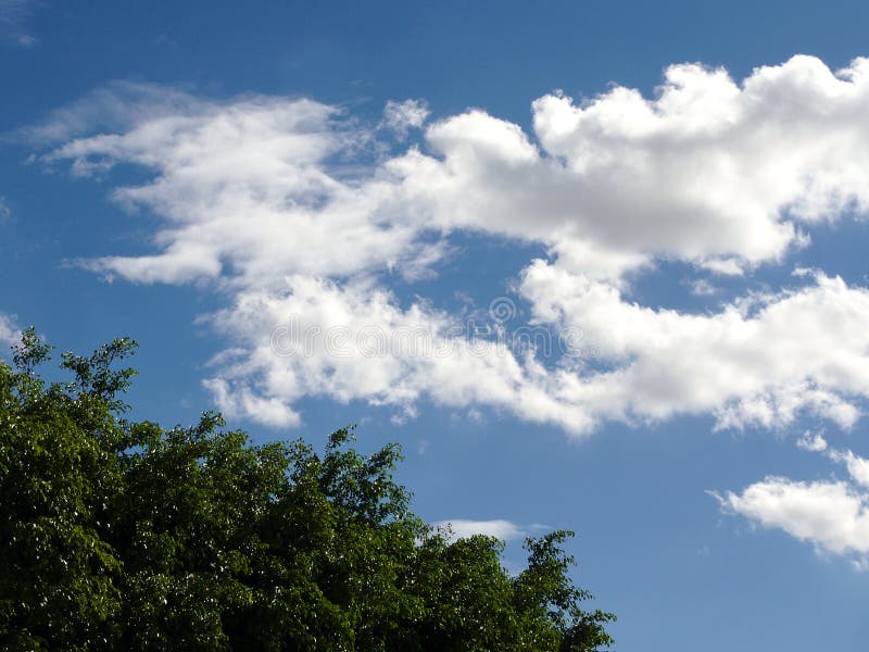Clouds in Blue Sky, Climate Concept Stock Image - Image of meteorology ...