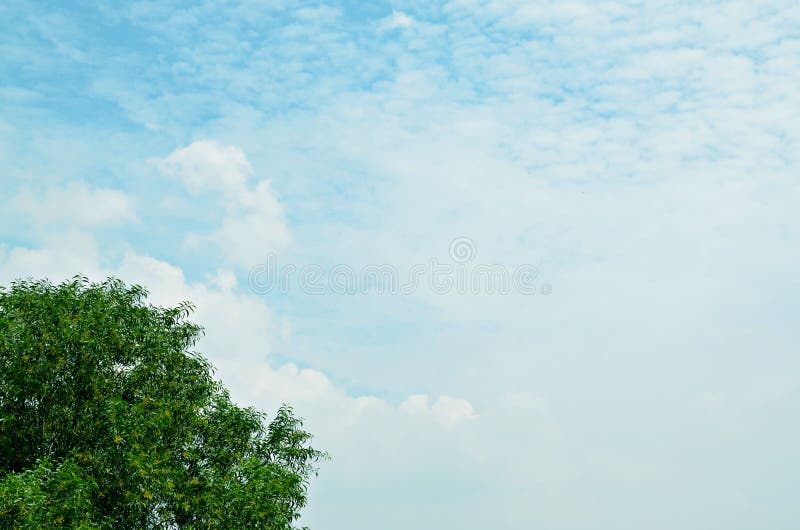Clouds in the Blue Sky. Environment, Atmosphere. Stock Image - Image of ...