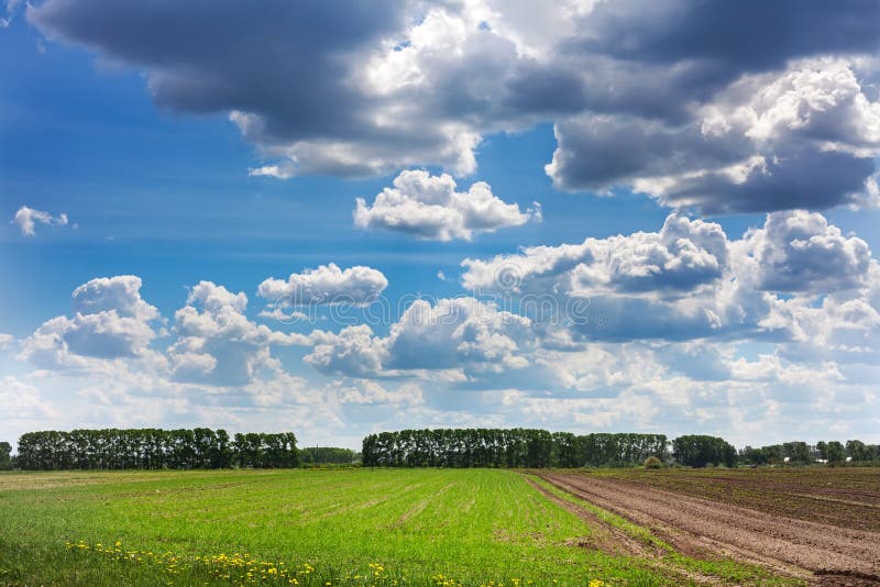 Clouds in the Blue Sky. Perspective View. Stock Image - Image of nature ...