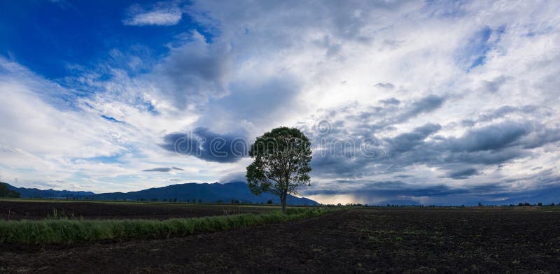 Clouds Cape with a Tree Silhouette Stock Image - Image of dramatic ...