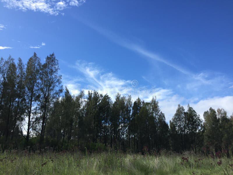 Cheerful Clouds Over the Bluffs Stock Photo - Image of lake, juniper ...