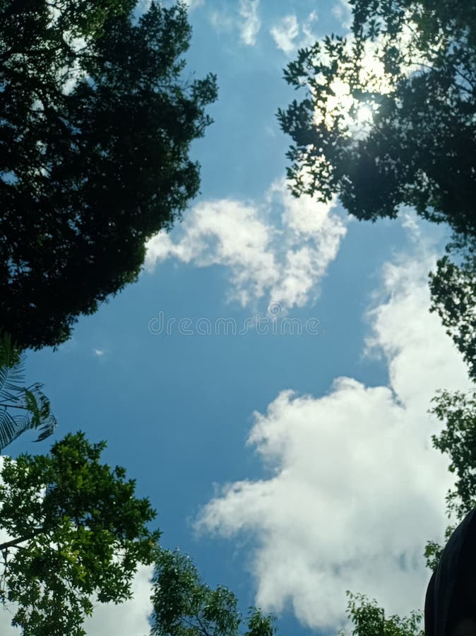 Clouds and Clear Sky.i Saw it Under a Shady Tree Stock Image - Image of ...