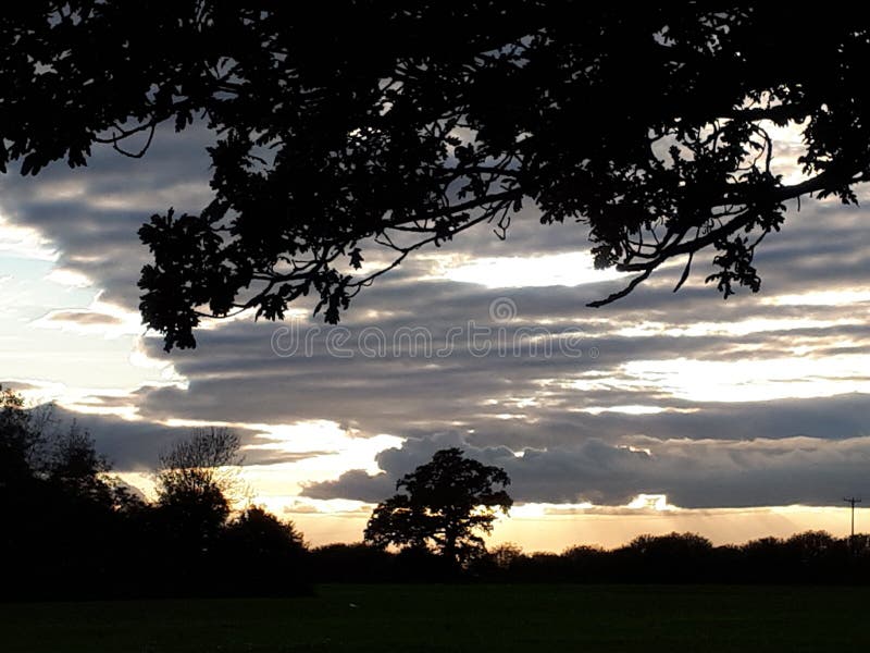 Countryside Dusk stock photo. Image of dusk, trees, dark - 101776250