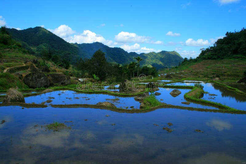 Kiangan Ifugao Stock Photos - Free & Royalty-Free Stock Photos from ...