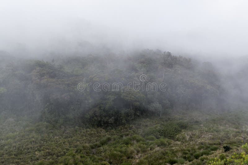 Clouds Floating Above the Green Meadows and Hils at the Mountains Stock ...