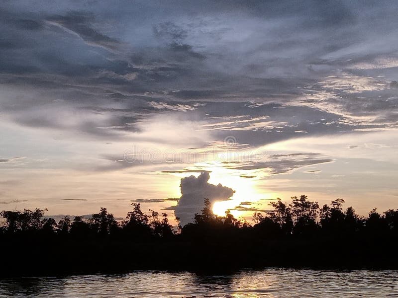Clouds form like animals stock photo. Image of form - 339984744