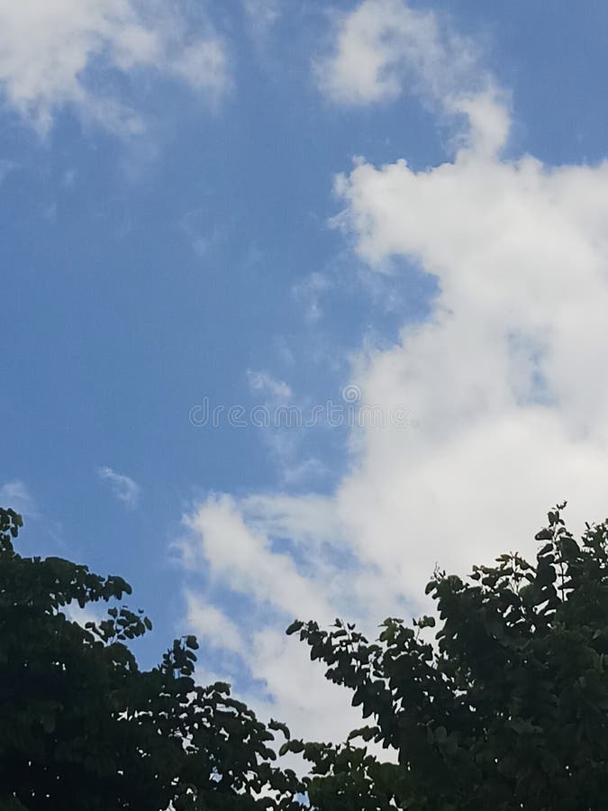 Cloudy sky stock photo. Image of beautiful, shape, clouds - 120016680