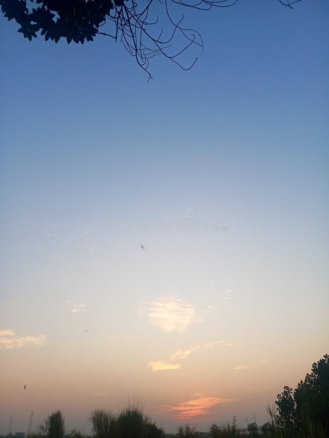 Blue Countryside Sky with Trees Horizon Empty Space Nature Stock Photo ...