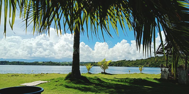 Perfect view stock photo. Image of view, coconut, clouds - 138111356