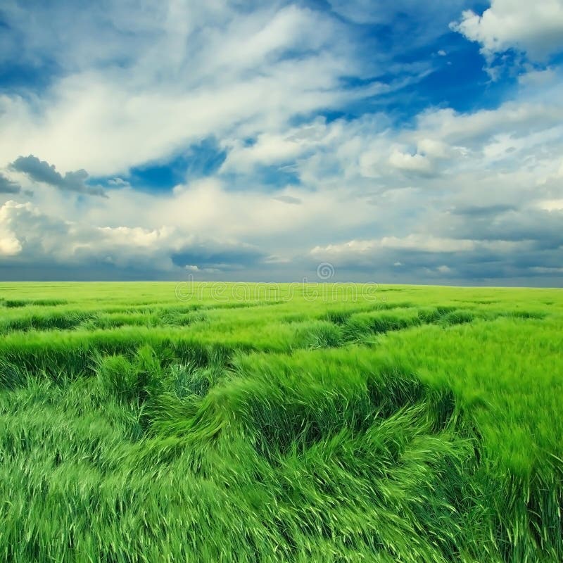 Clouds Over the Endless Field Stock Photo - Image of endless, clouds ...