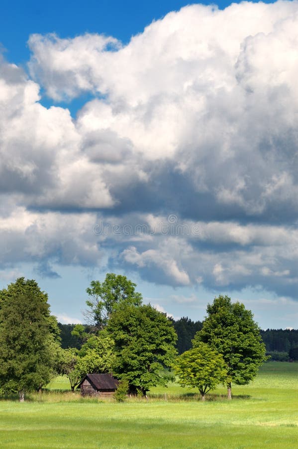 Clouds over the field stock photo. Image of grasses, vegetate - 12553456