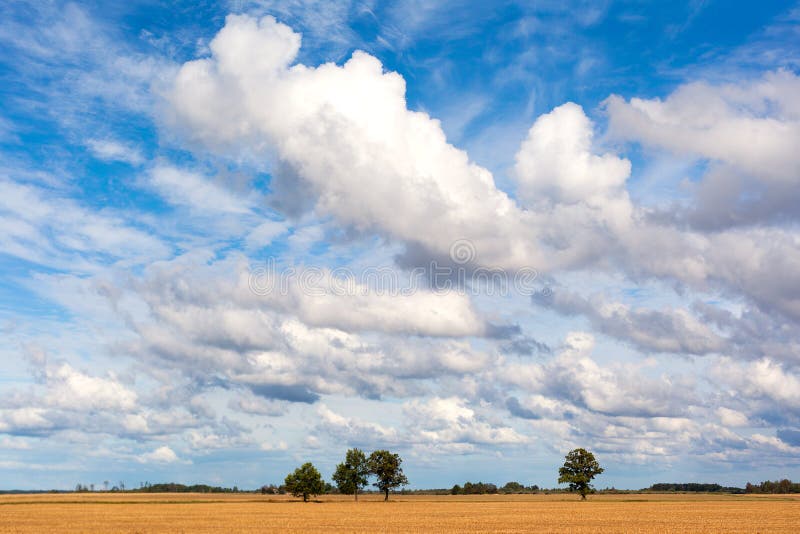 Field and clouds. stock image. Image of green, blue, farm - 31918713