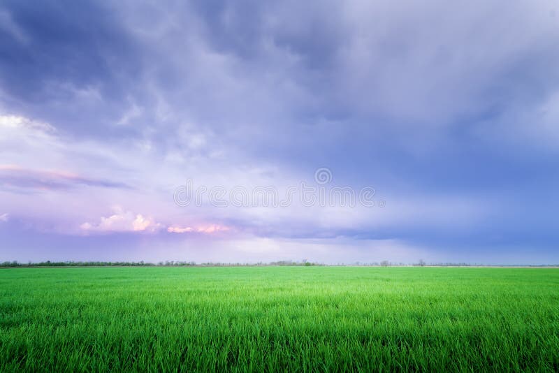 Clouds Over the Field / Bright Colorful Picture Spring Evening U Stock ...