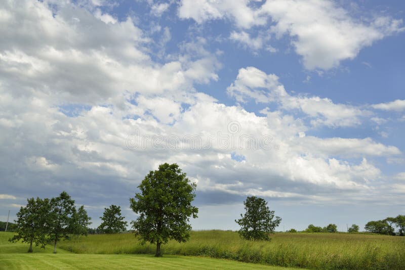 Clouds over field. stock photo. Image of summer, green - 55338372